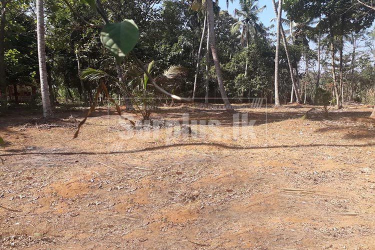 3 Land Blocks for Sale in Katunayake – Surplus
