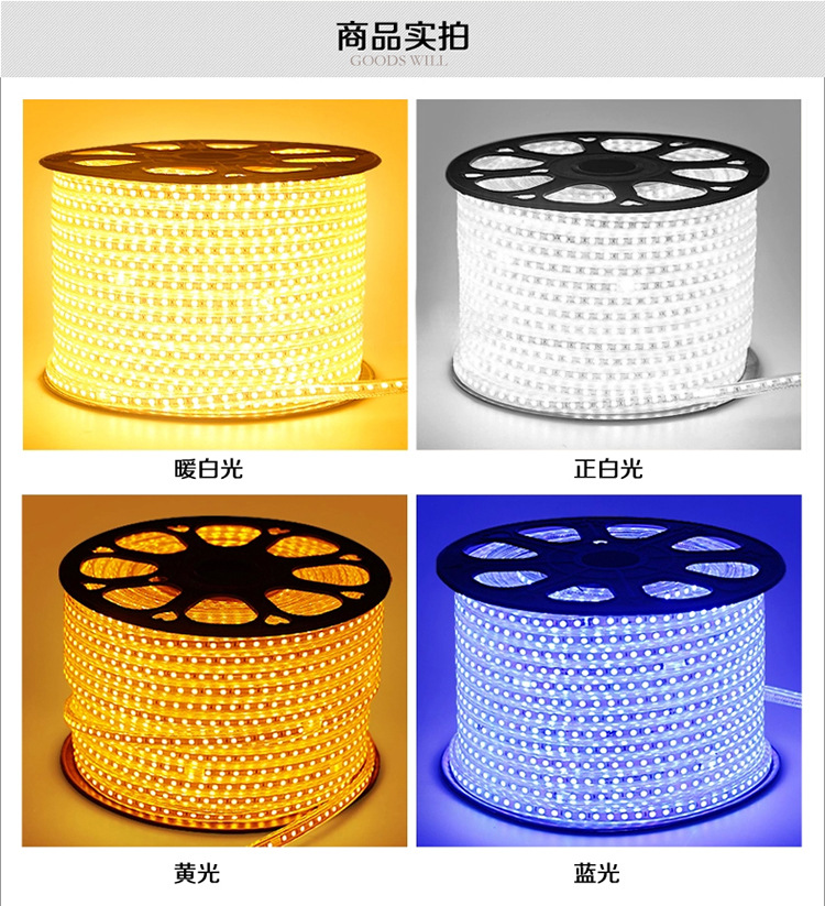Day Light 50m Roll Strip Light – Surplus