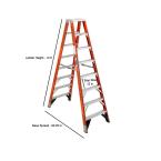 Ladder – Werner 12 ft. – Surplus