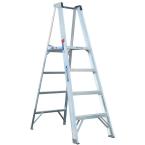 Ladder – Werner 10 ft. Reach Aluminum Platform Step Ladder – Surplus
