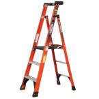 Ladder – Werner 9 ft. – Surplus