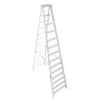 Ladder – Werner 14 ft. – Surplus