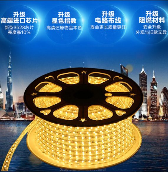 Warm White 50m Roll Strip Light – Surplus