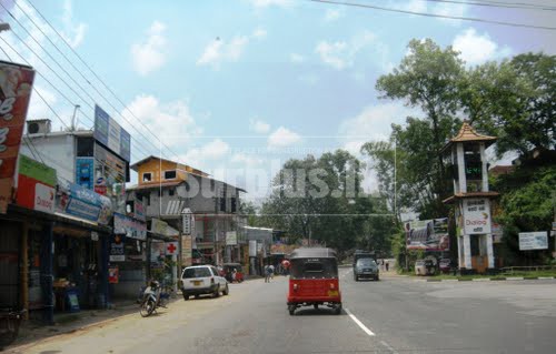 Valuable Rubber Estate for Salae at kaluaggala Avissawella. – Surplus