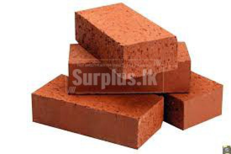 ගඩොල්(BRICKS) – Surplus