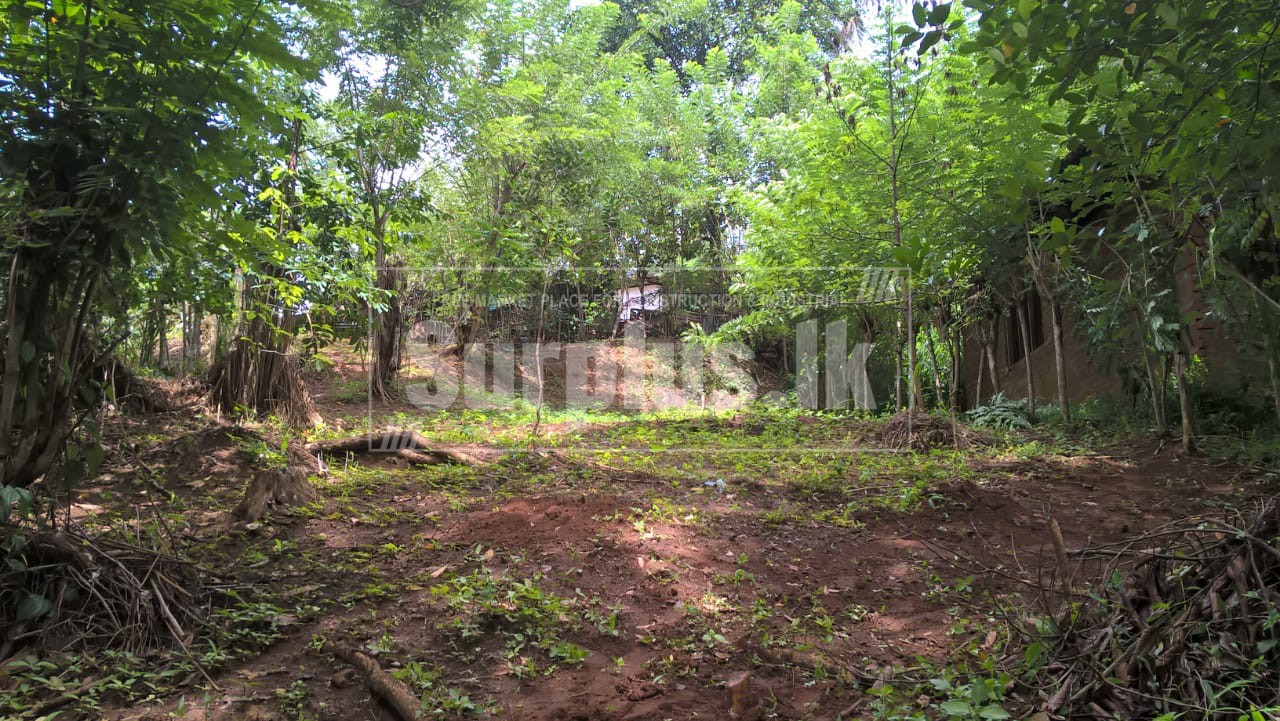 Land for sale – Katugasthota – Surplus