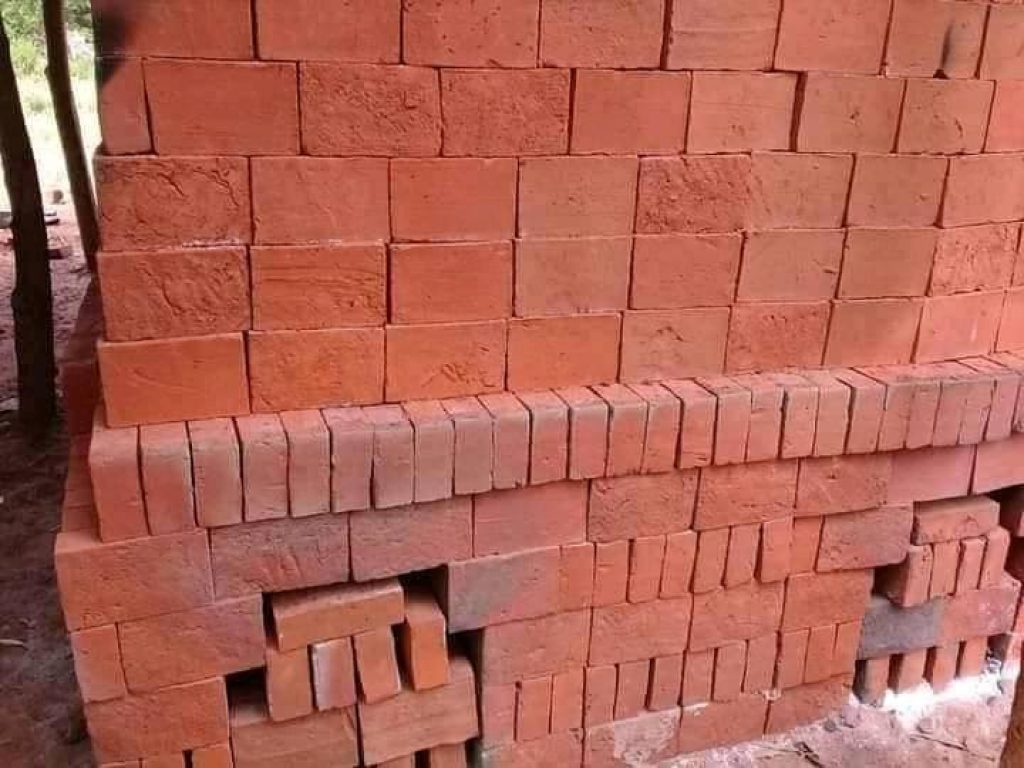 Bricks (Engineering Brik) – Surplus