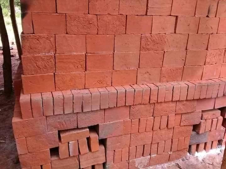 Bricks (Engineering Brik) – Surplus