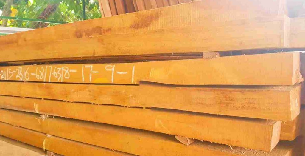 Jack Wood – Surplus