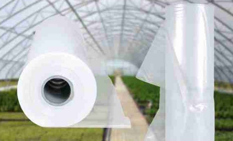 Polythene Roll Form Clear & Black – Surplus